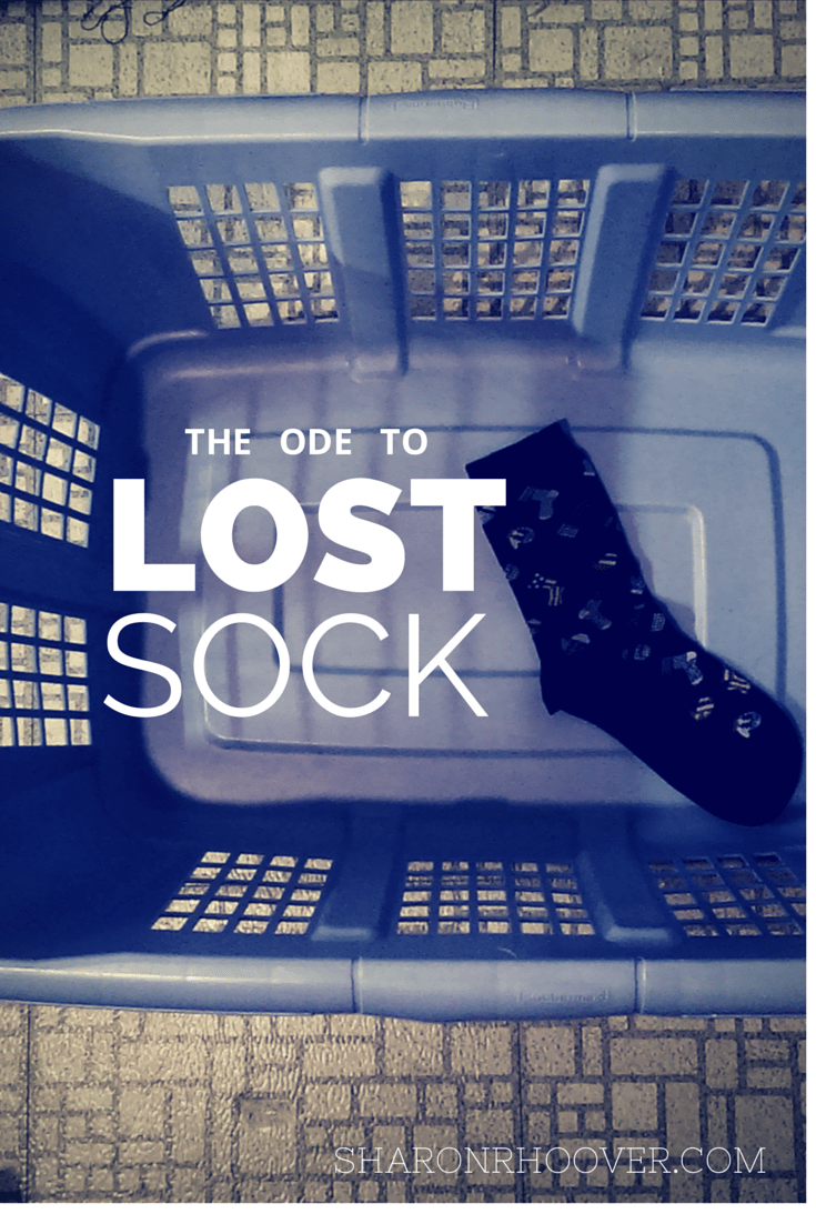 Ode to Lost Sock - Sharon R Hoover