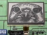 Memory Lcd Sharp