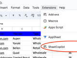 Sheetcopilot Support