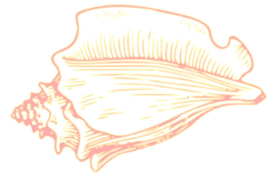 About Us - Shellmark Textiles