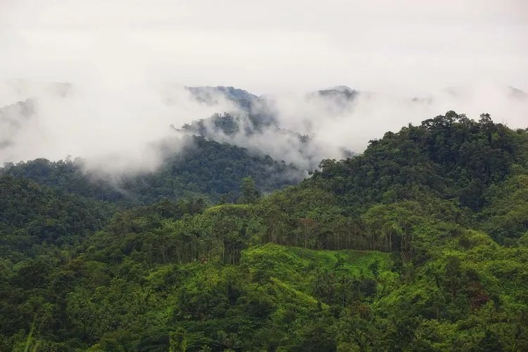 Samar Island National Park » Shellwanders