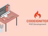 Evaluating Codeigniter Framework Programming Languages