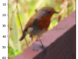 Building A Cat Image Classifier Using Neural Networks From Scratch