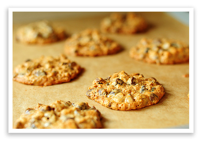 Chocolate Cherry Walnut Cookies