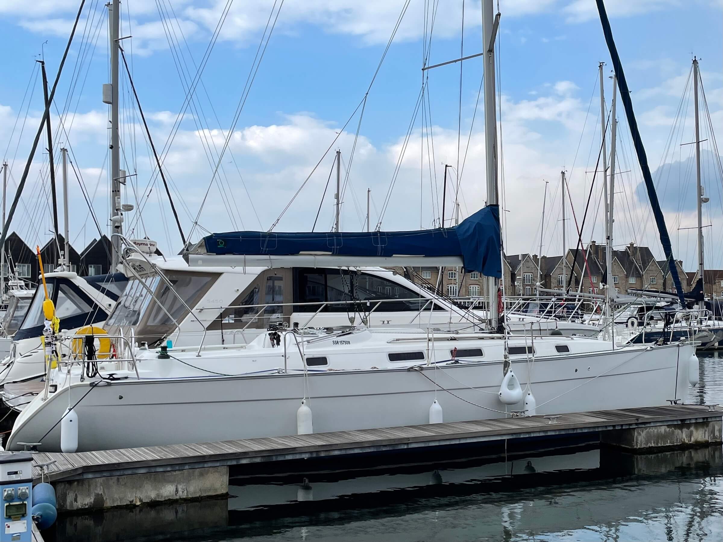 Highlights – Starfish and Family | She Who Sails…