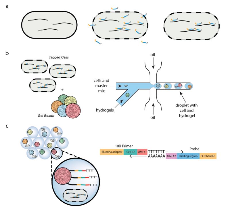 Github Shichenliu Vapid - Download Beautiful Space Photo | High Resolution