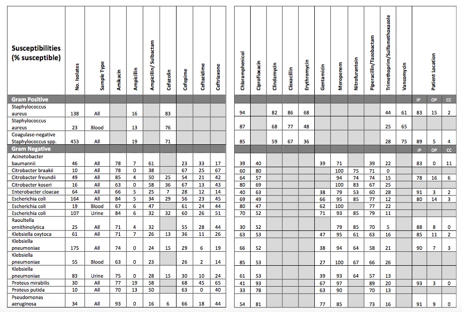 on being a bit academic | Shirk Adventure