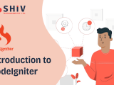 Codeigniter Learn Everything About Codeigniter From Experts