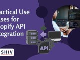 What Is Shopify Api And How It Works For Online Stores