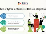 Python Ecommerce Integration Everything You Need To Know