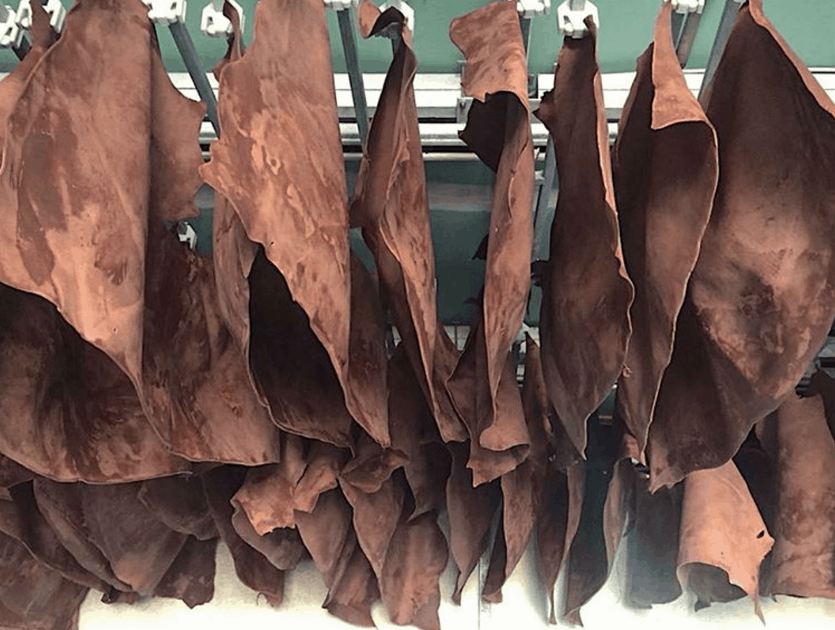 Report - The Italian tannery Shell Cordovan - Shoegazing.com