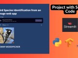 Image Based Bird Species Identification Using Machine Learning