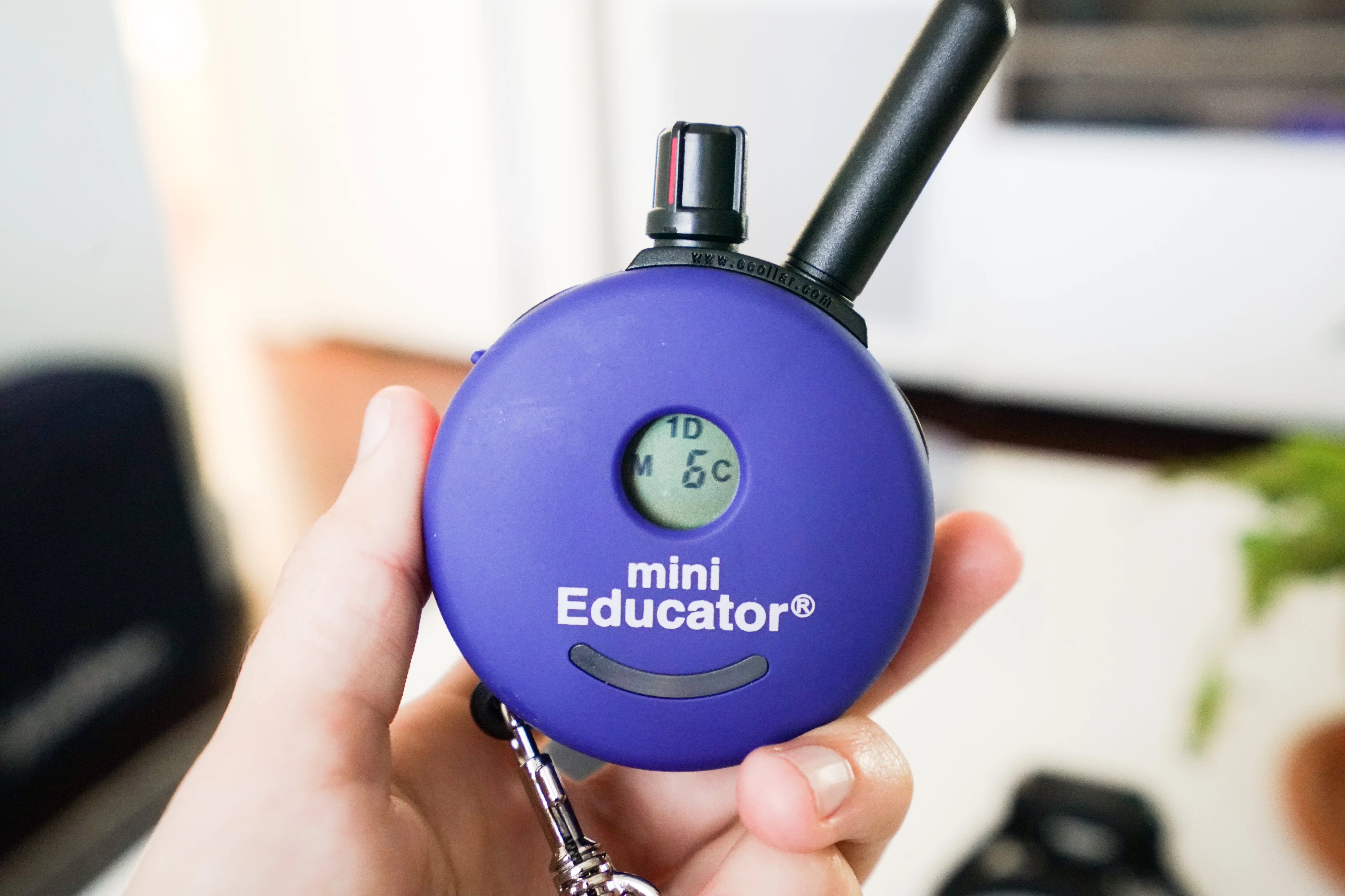 Et 300 Mini Educator Ecollar The Everyday Trainer Shop