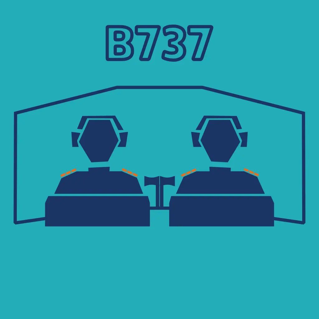 B737 Type - IFA Courses