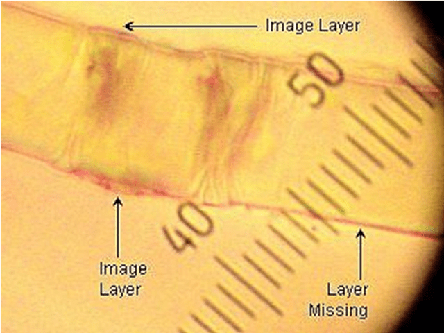 The Colin Berry Theory: Like Evolution, the Big Bang and Relativity, it ...