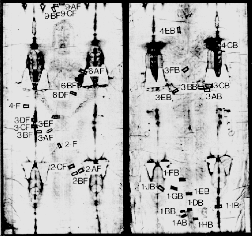 Who took which sticky tape samples where and when? 6BD Pictured ...