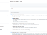 Additional Material Protecting The Main Branch On A Shared Github