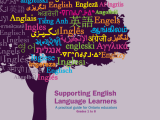 English Language Programs Shark Attack