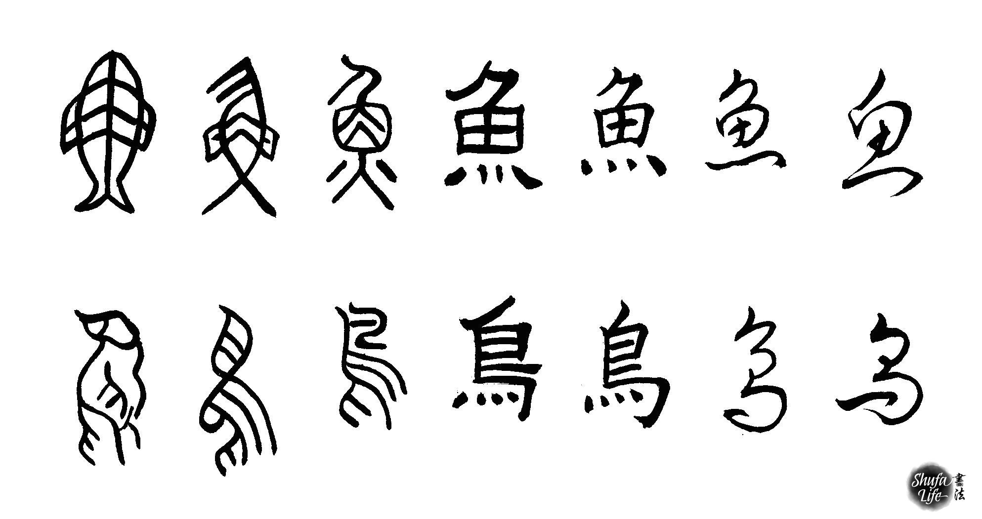 evolutionfishbird - Shufa Life