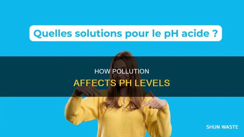 Solved Does The Ph Increase Or Decrease And Does It Do So To A Large - Professional Mobile Nature Wallpapers | Free Download