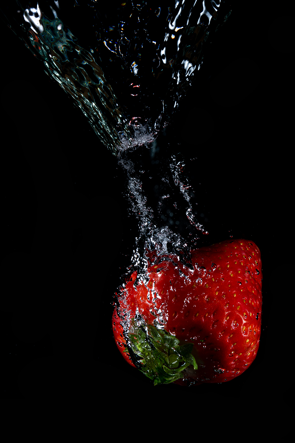 Creative Photography Gallery – ShutterButton