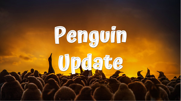 Penguin update | Everything you need to know about it