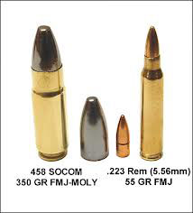 .458 SOCOM: The Hammer of Death for Hogs! | SHWAT™