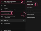 Developer Mode R Oculusquest