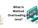 What Is Method Overloading In Java Siliconvlsi