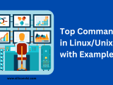 Top Command In Linux Unix With Examples Siliconvlsi