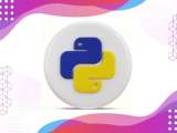 Python Programming 100 Best Coding Practices Master Python