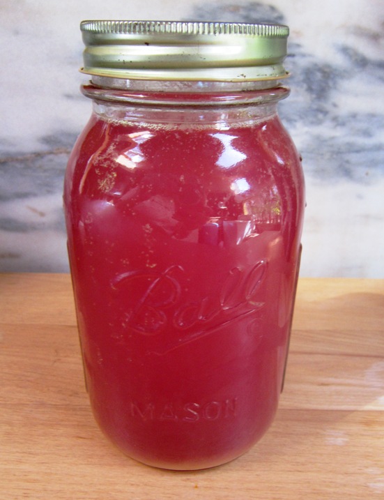 Kvass – Silverback Digest