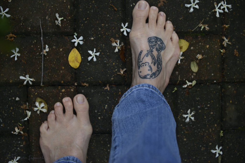 How to Change the World