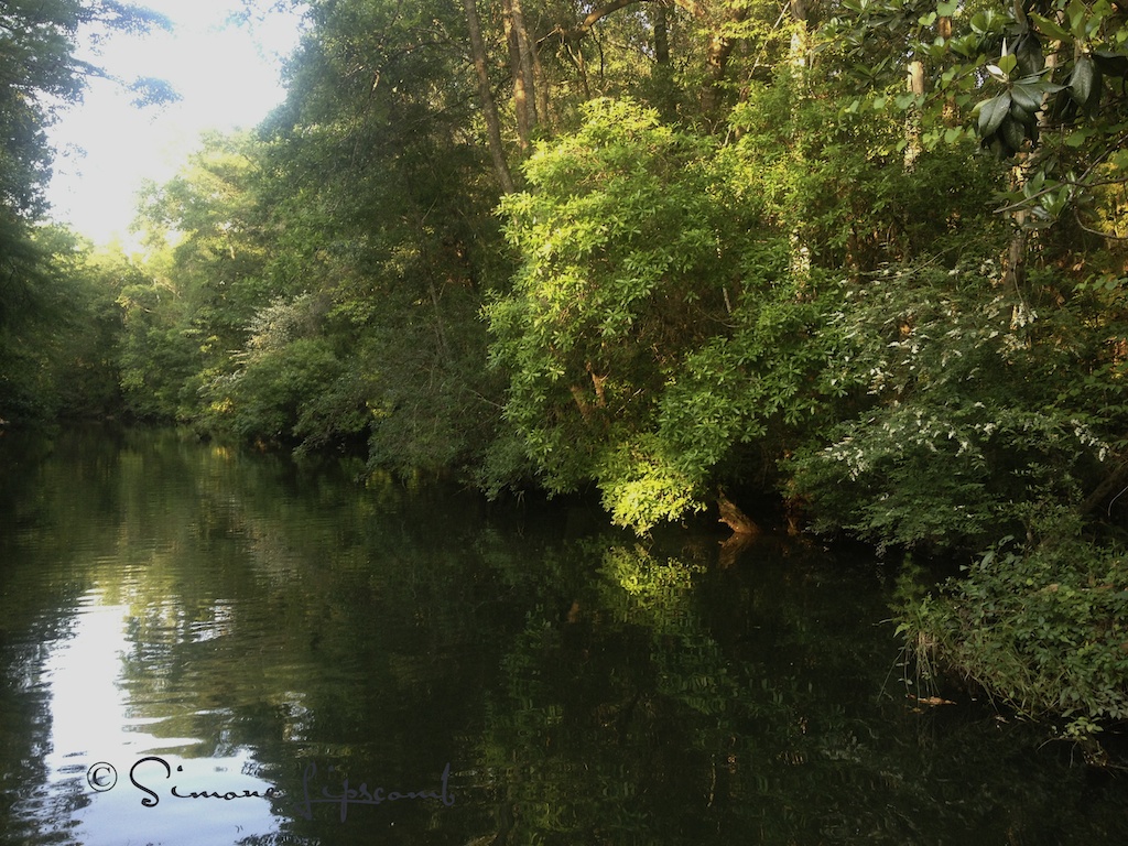 Flashes of Insight Come as Floods