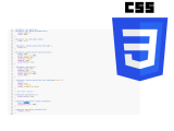 Css Fundamentals Available To Book Now