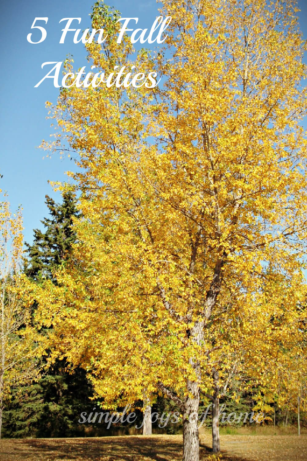 5 Fun Fall Activities - Simple Joys Of Home