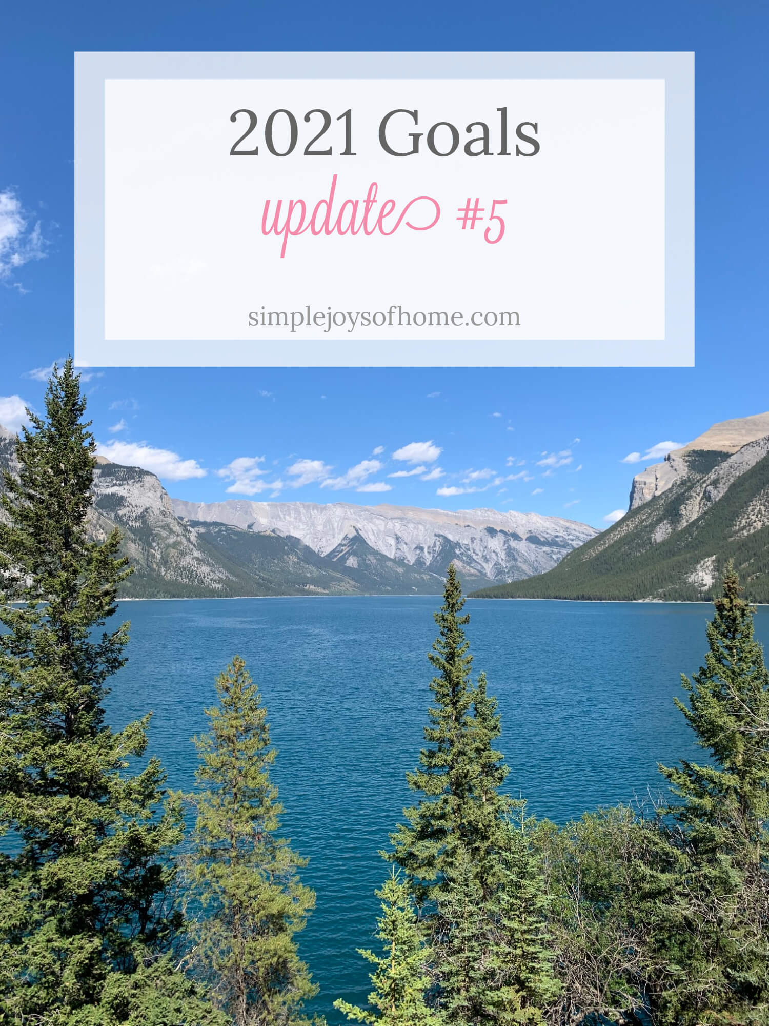 2021 Goals | Update 5 - Simple Joys Of Home