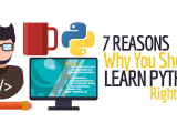Why Learn Python 7 Reasons You Should Learn Python Now