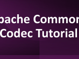 Java Apache Commons Codec Tutorial