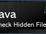 Check Hidden Files In Java