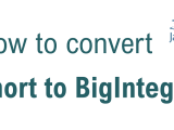 Java Convert Short To Biginteger