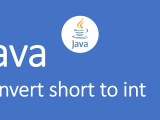 Convert Short To Int In Java