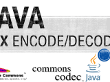 Java Encode And Decode Hex String Using Apache Commons Codec