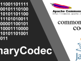 Encode And Decode String To Binary Format In Java Using Apache Commons