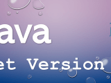 Get Java Version