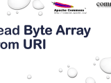 Read Content From Uri Into Byte Array In Java Using Apache Commons Io