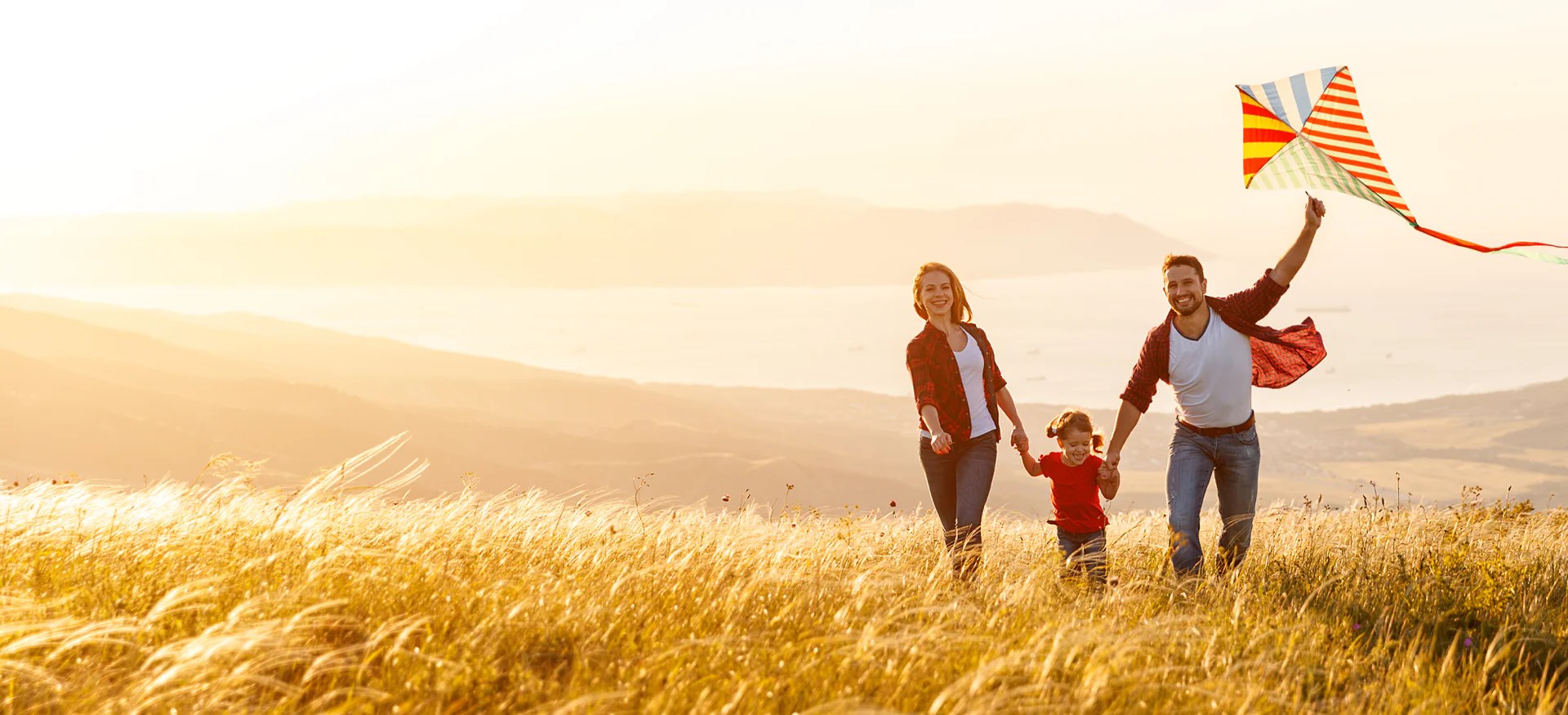 Simple Spectrum Nutritional Supplement Is