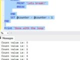How To Break A While Loop In Sql Server Explained With Examples