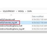 Sql Server Truncate Table Everything You Need To Know Simple Sql