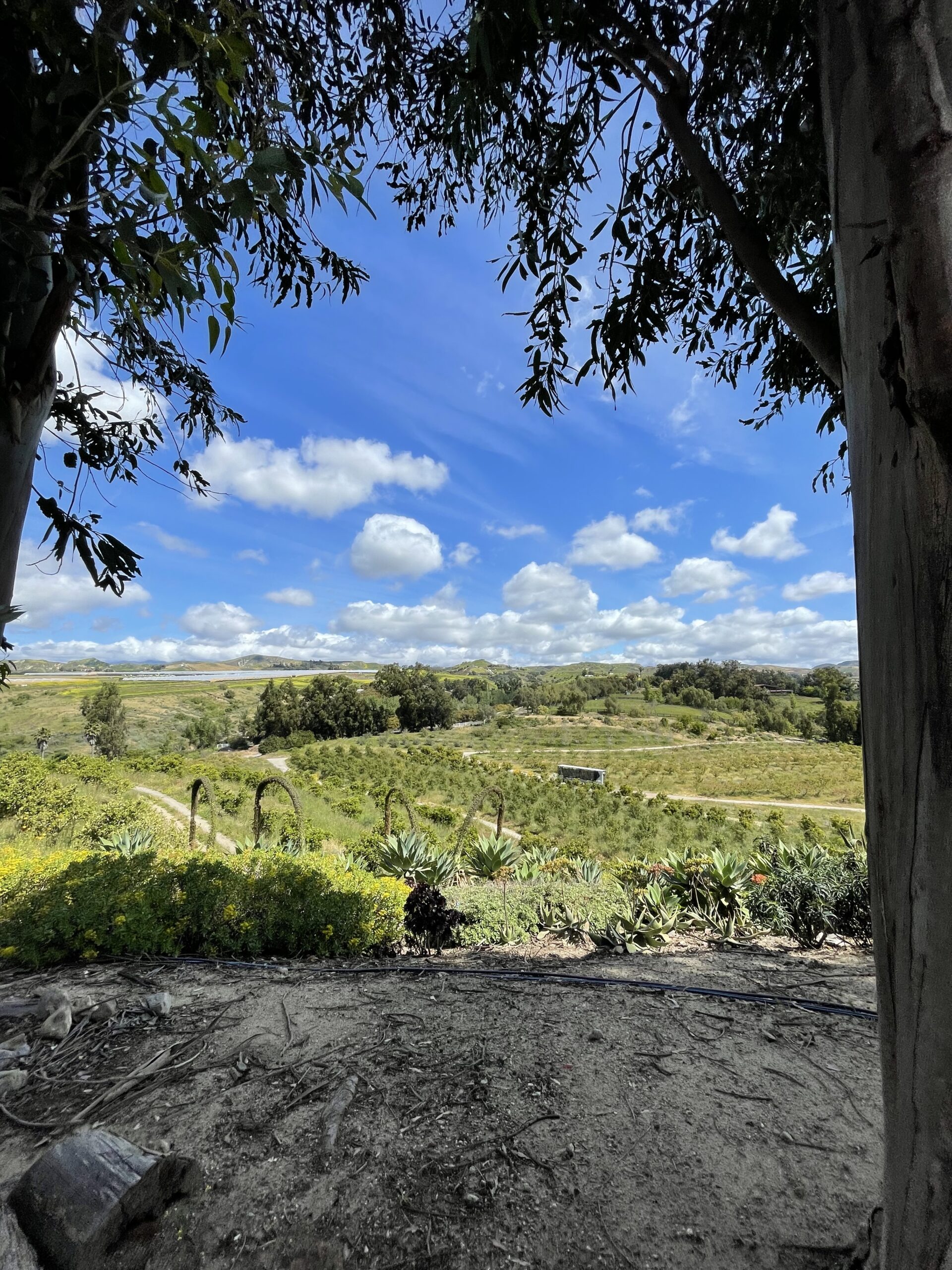 The Benefits of Sunlight in the Morning » PCOS, Thyroid and Hormones ...